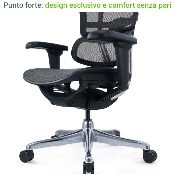Sedia Ergonomica ERGOULTRA, Completamente Regolabile, Ottima Qualità ...
